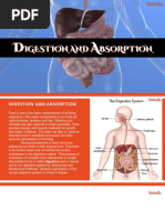 Anatomy and Physiology of Acute Gastroenteritis | PDF | Stomach ...