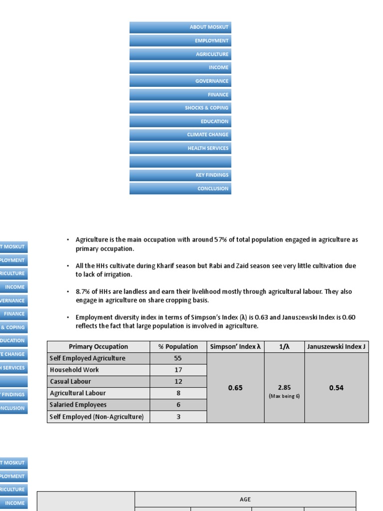 VDR PPT 1 | PDF | Loans | Agriculture