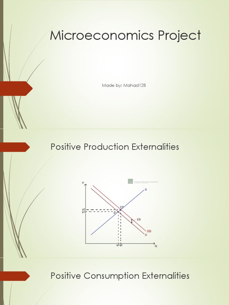 Positive & Negative Externalities | PDF