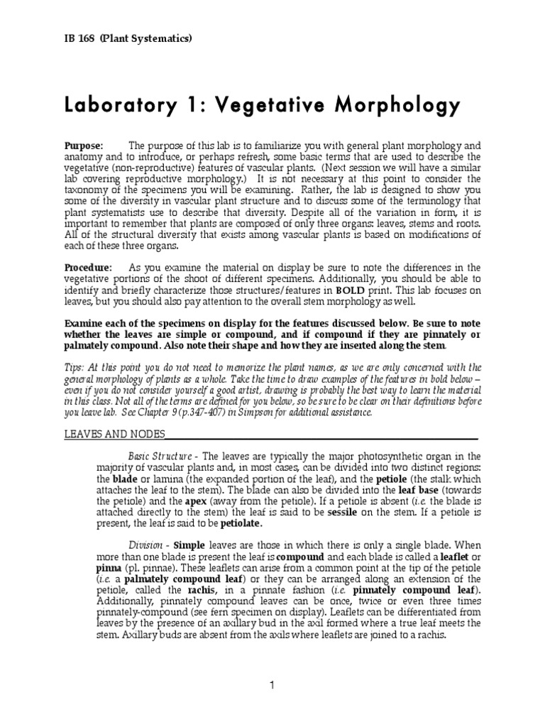 Laboratory 1: Vegetative Morphology: IB 168 (Plant Systematics) | PDF | Leaf | Plant Stem