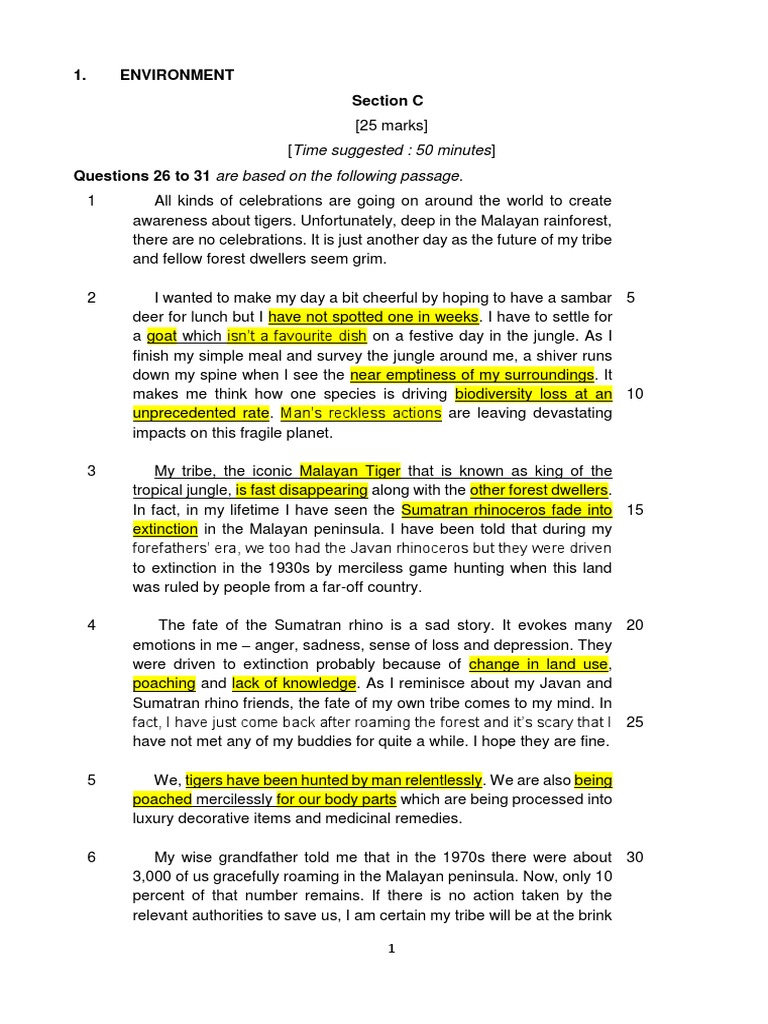 English Summary Highlighted | PDF | Rhinoceros | Tiger