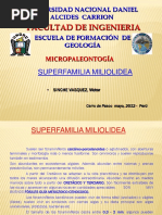 Diapositivas 1 Botanica Criptogamica Familia NAVICULACEAE | PDF ...