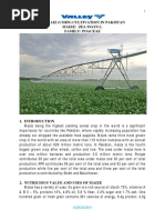 Wheat and Crop Calendar for Pakistan | PDF