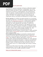 Qué es la espermarquia y su proceso | PDF | Eyaculación | Semen