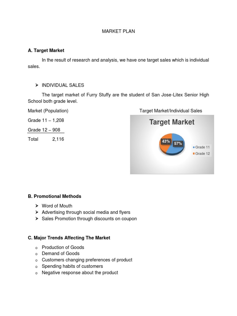 Market Plan | PDF | Sales | Market (Economics)