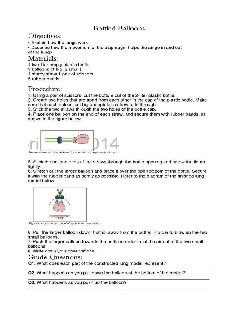 Bottled Balloons | PDF | Balloon | Nature