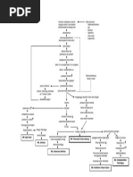 Pathway Penyakit Jantung Bawaan | PDF