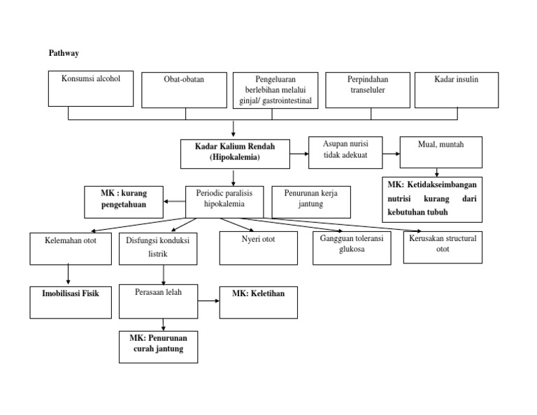 Pathway Hipokalemia | PDF