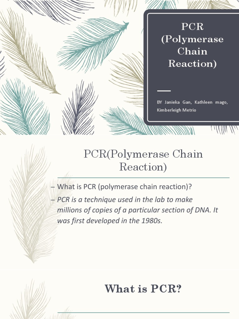 PCR (Polymerase Chain Reaction) | PDF | Polymerase Chain Reaction ...