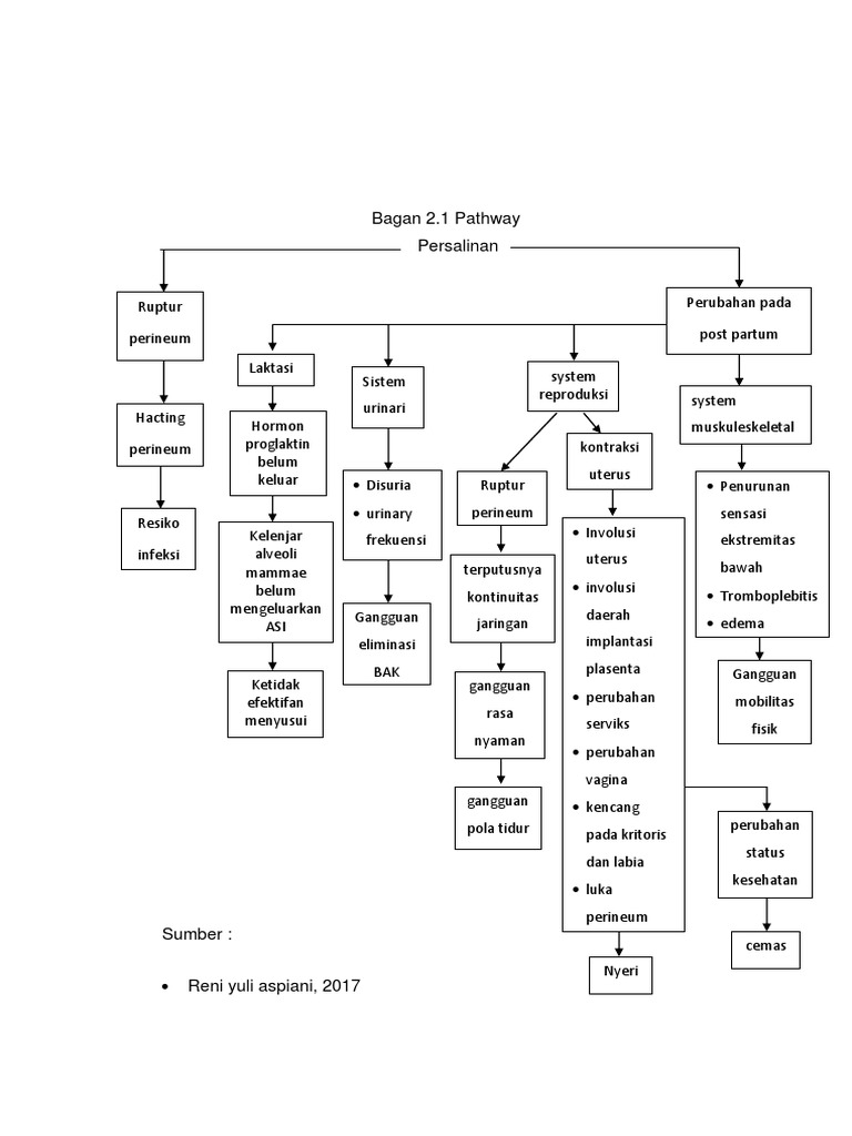 Bagan 2.1 Pathway Persalinan | PDF
