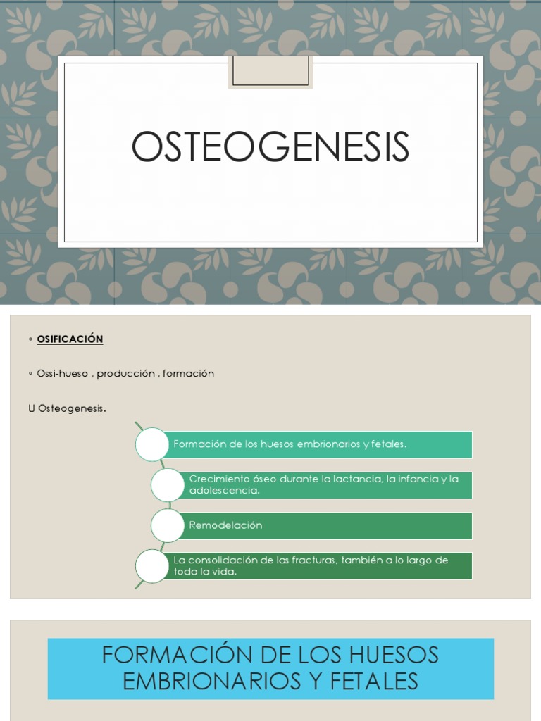 OSTEOGENESIS | PDF