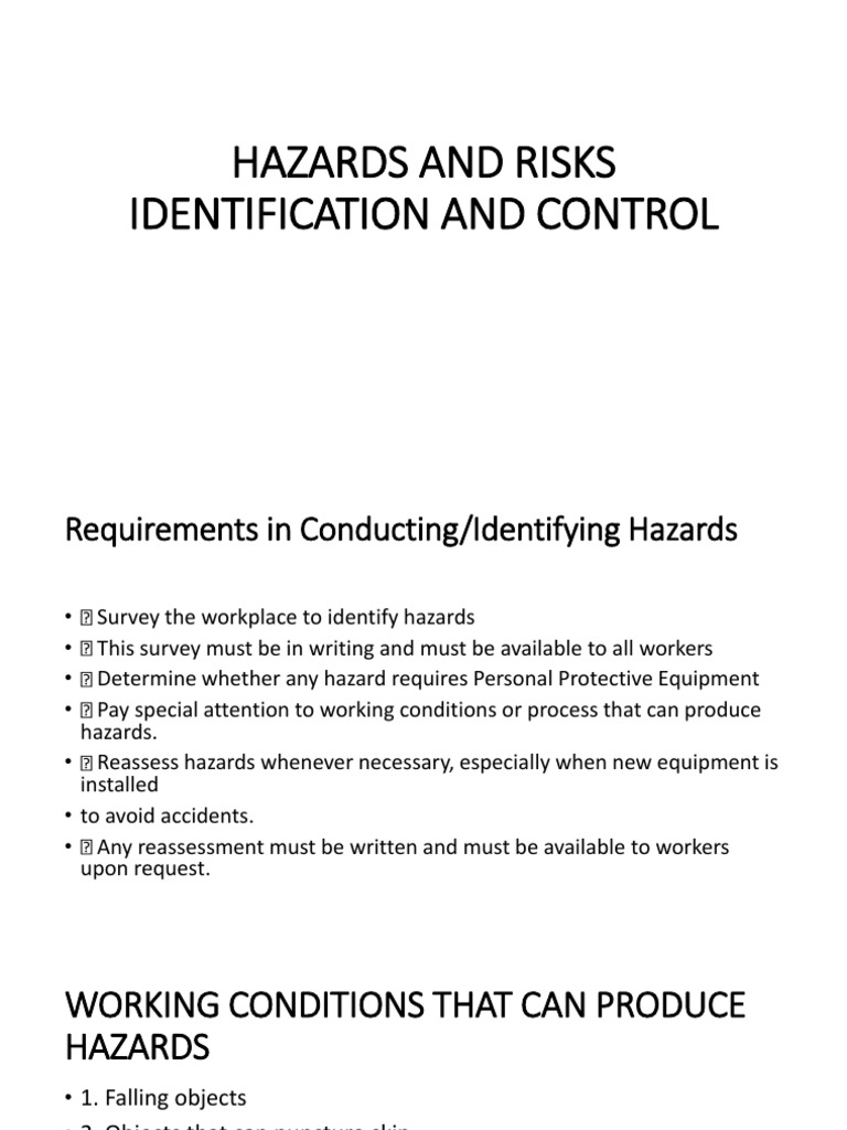 Hazards and Risks Identification and Control | PDF | Personal ...