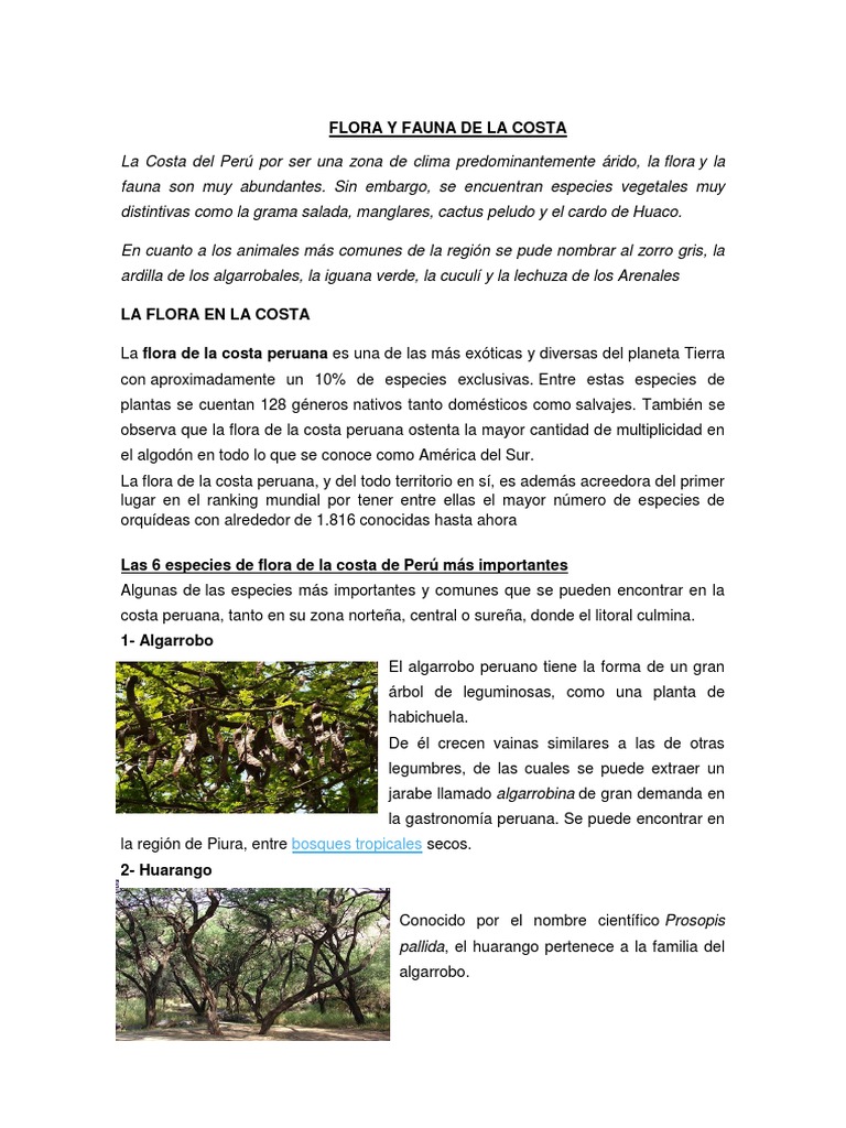 La Flora y Fauna de la costa Peruana | Arboles | Perú