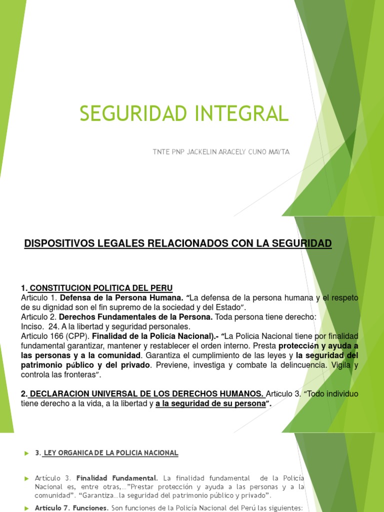Seguridad Integral | PDF | Seguridad | Policía