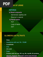 Normal Urine Routine Examination Report | PDF | Urine | Kidney