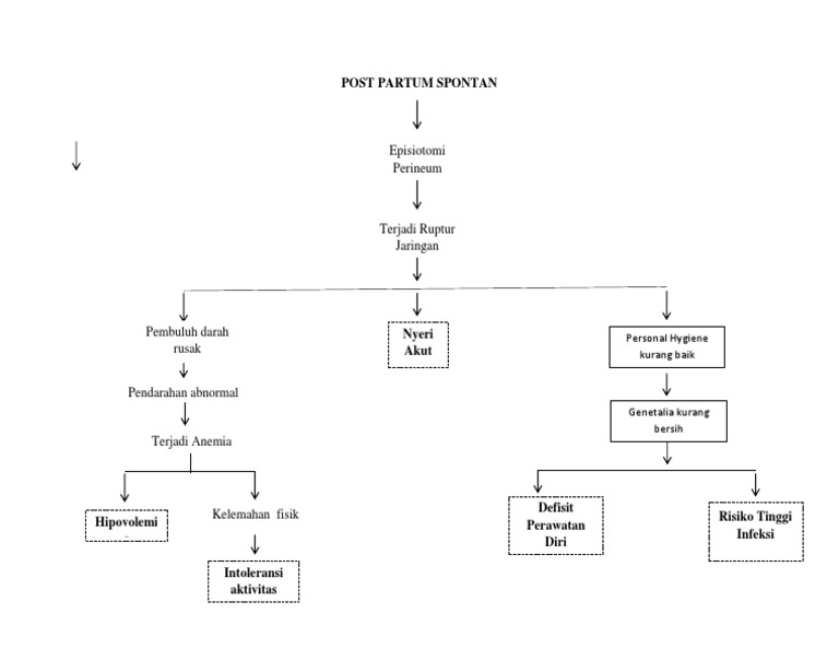 Pathaway Post Partum Spontan | PDF