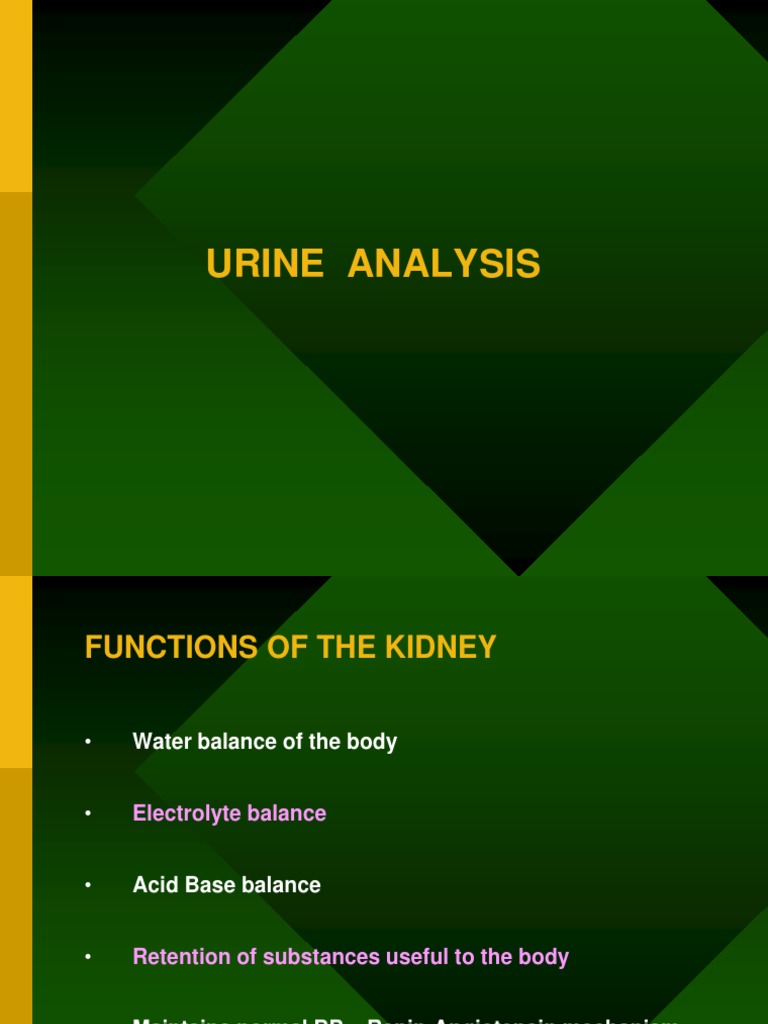 Analysis of Urine: A Comprehensive Guide to Understanding Urine ...