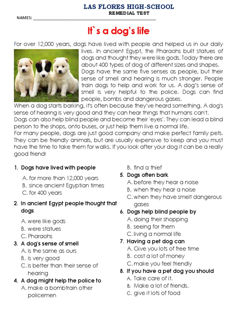 Dog's Life | PDF | Dogs | Pet