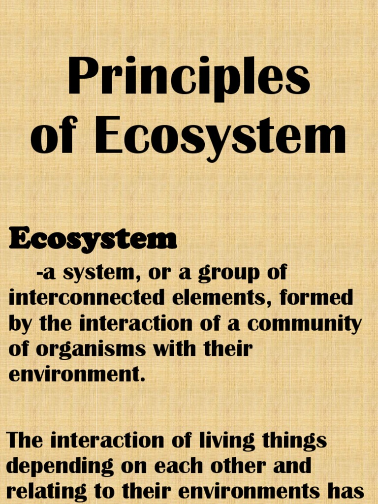Principles of Ecosystem | PDF | Ecosystem | Natural Environment