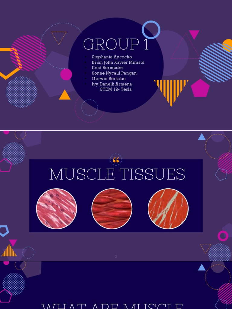Muscle Tissue | PDF | Skeletal Muscle | Muscle