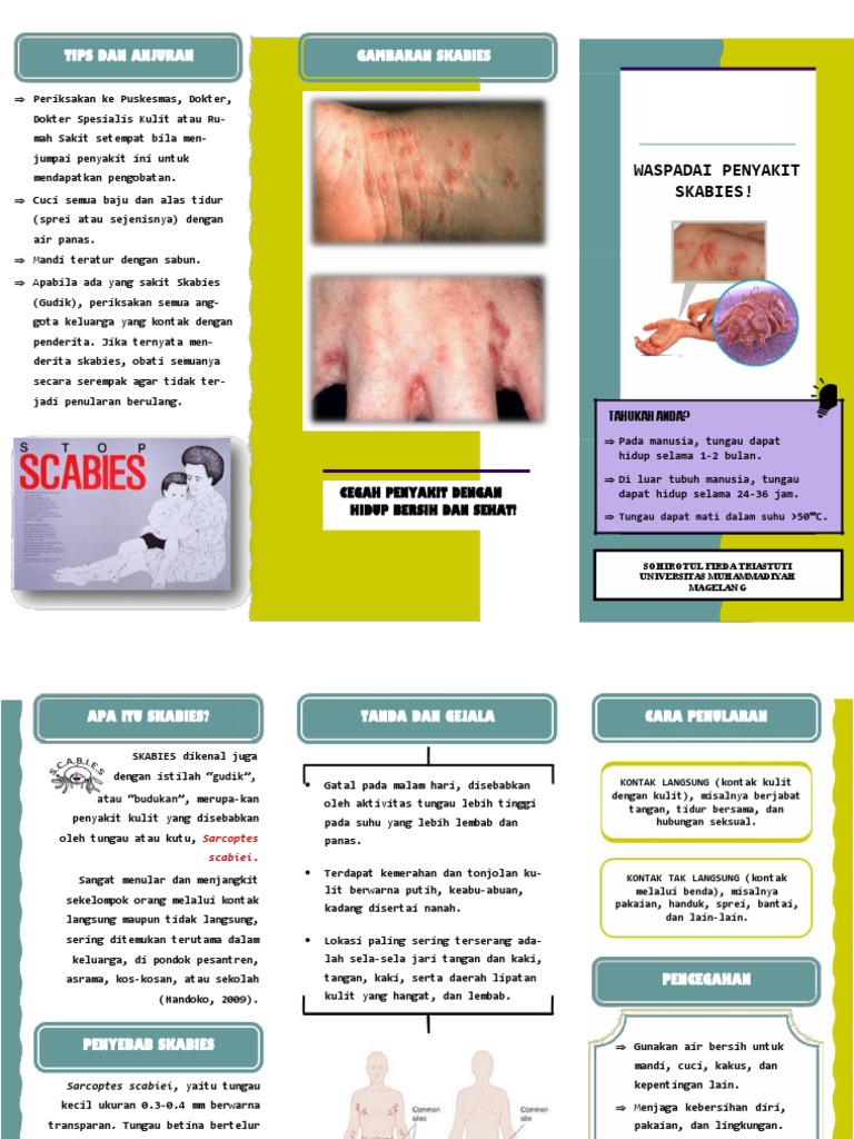 Leaflet Scabies | PDF
