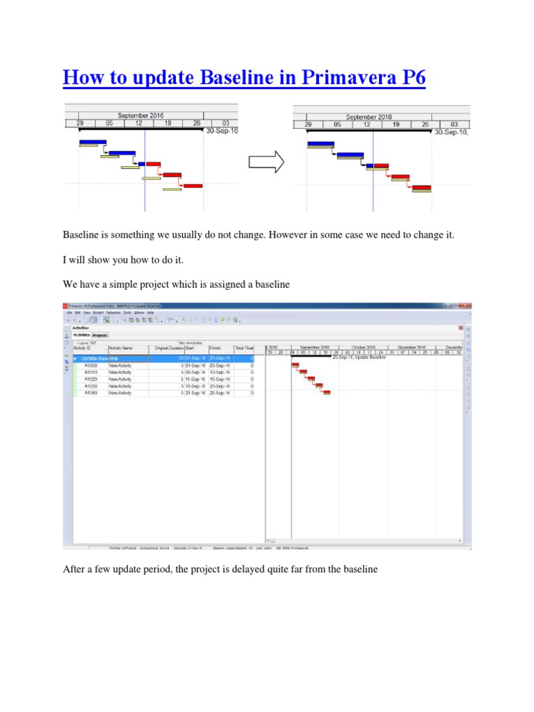 How To Update Baseline in Primavera P6 | PDF