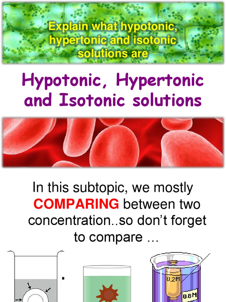 Explain What Hypotonic, Hypertonic and Isotonic Solutions Are | PDF ...