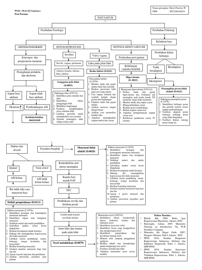 Pathway Post Partum | PDF