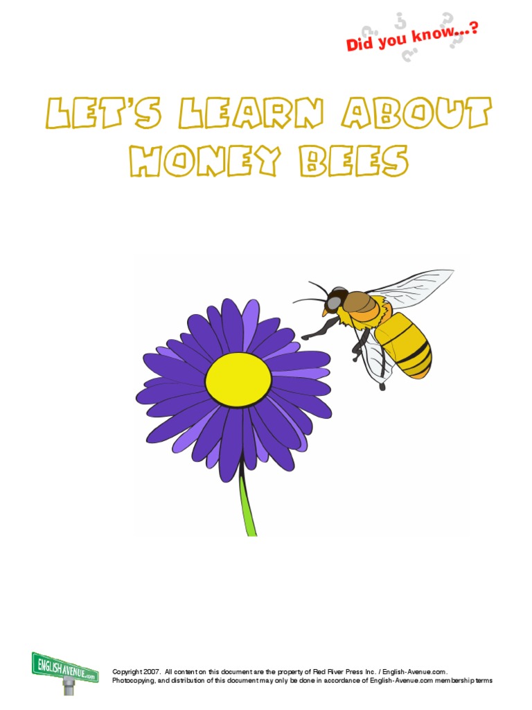 Honey Bees | PDF | Honey Bee | Bees