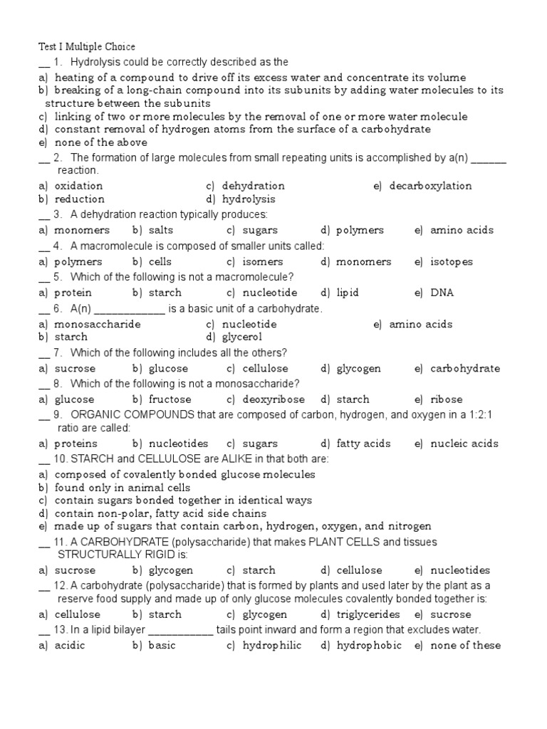 Nucleic Acid Worksheet | PDF | Carbohydrates | Lipid