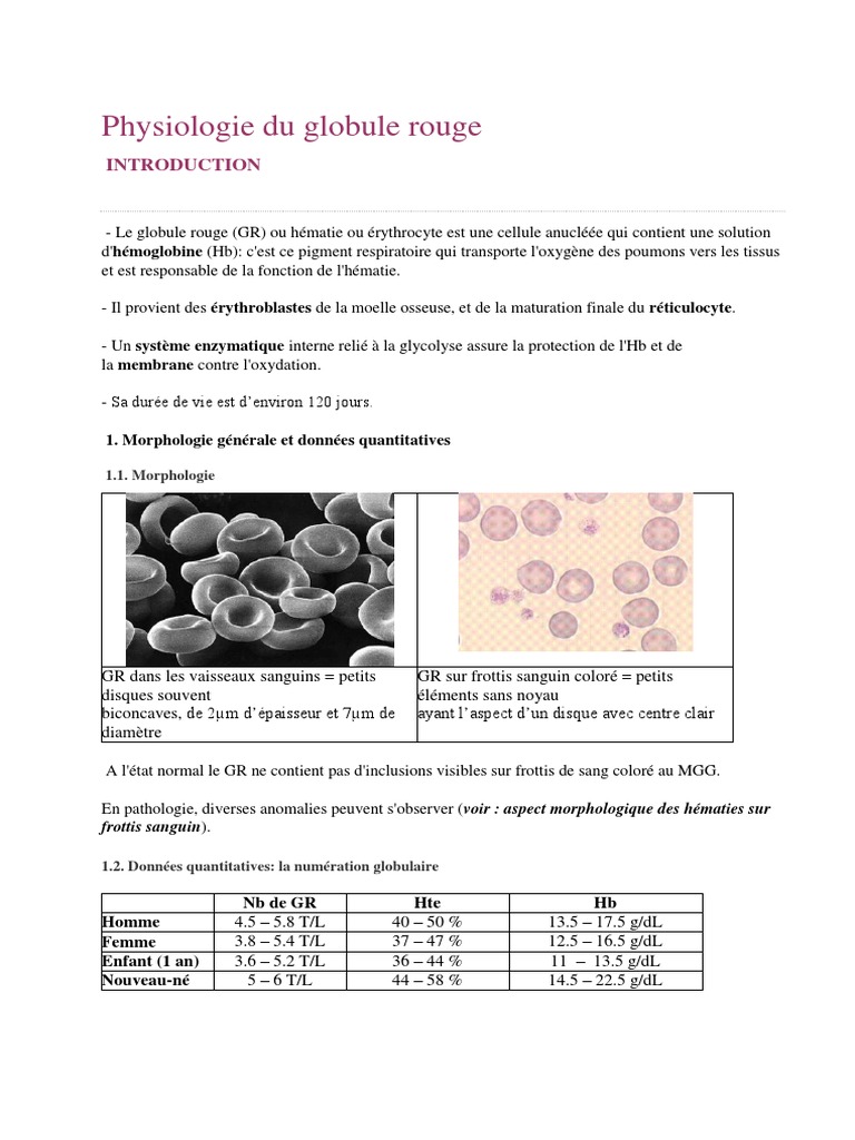 Physiologie Du Globule Rouge | PDF | Membrane cellulaire | Hémoglobine