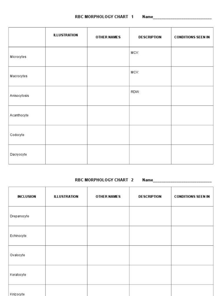 RBC MORPHOLOGY CHART 1 Name | PDF | Hematology | Pathology