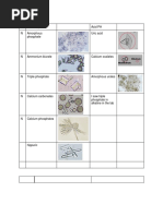 Biochemical Test Chart for Bacteria | PDF | Microbiology | Prokaryote