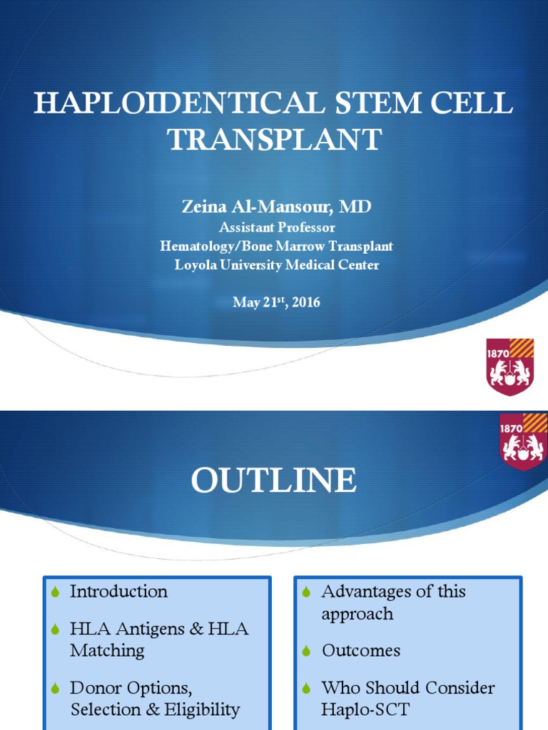 Haploidentical Stem Cell Transplant: Zeina Al-Mansour, MD | PDF ...