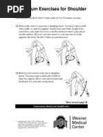 Upper Body Thera Band Exercise Program - Basic | PDF | Elbow | Arm