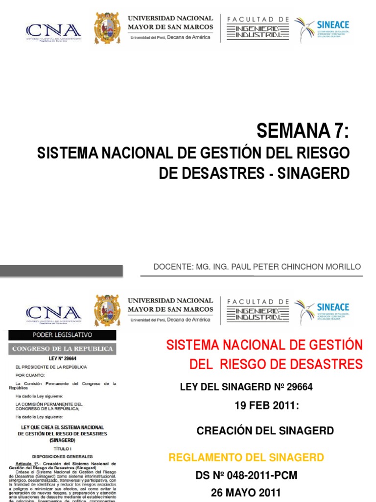 Sinagerd | PDF | Planificación | Seguridad