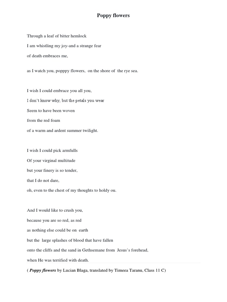 Poppy Flowers Timeea Taranu | PDF