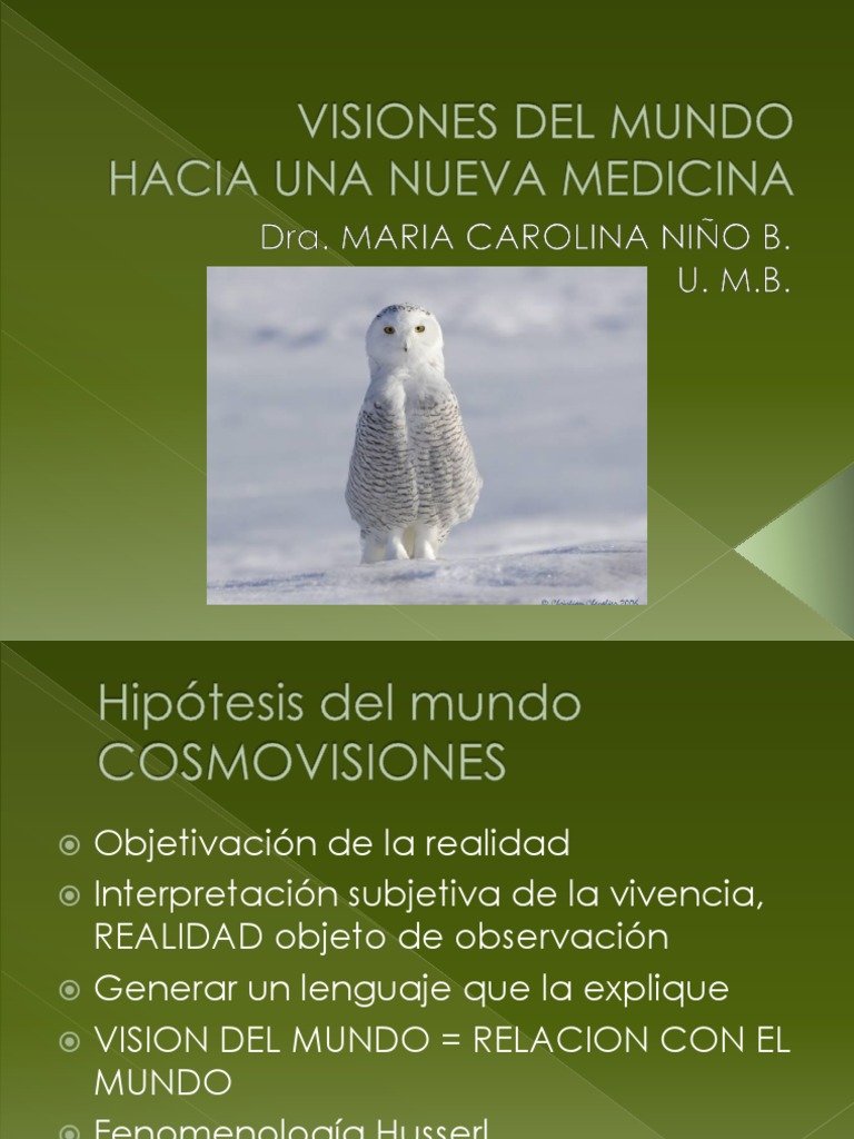Visiones Del Mundo-1 | PDF | Science | Física