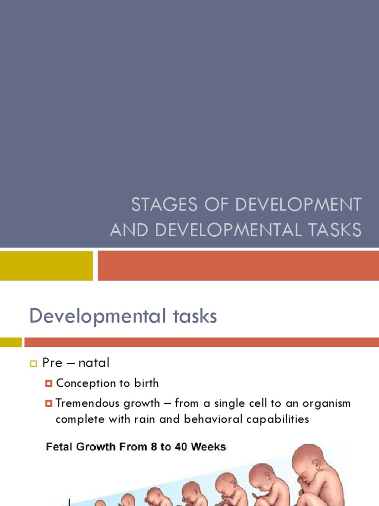 Stages of Development and Developmental Tasks | PDF | Developmental ...