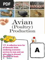 Animal Science Terminologies | PDF | Sheep | Horse Breeding