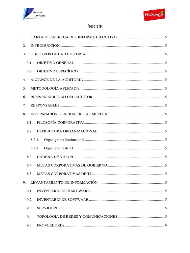 Estructura Informe para Auditoría Informática | PDF | Informática ...