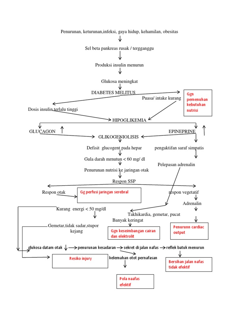 Pathway Hipoglikemi | PDF