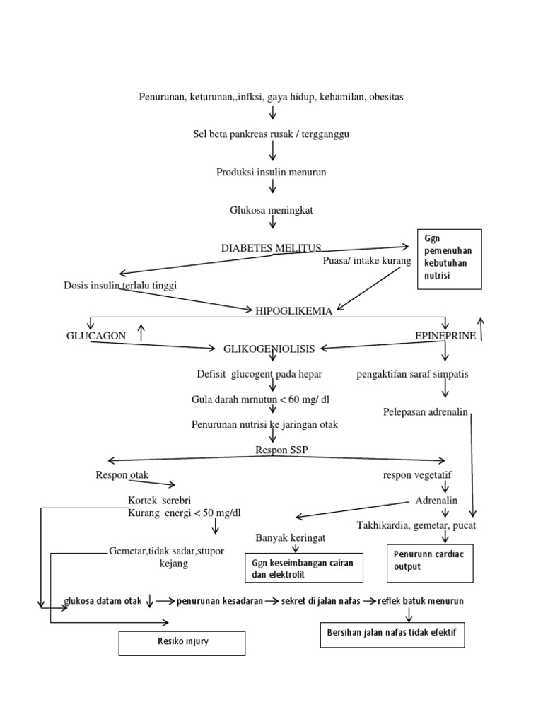 Pathway Hipoglikemia | PDF