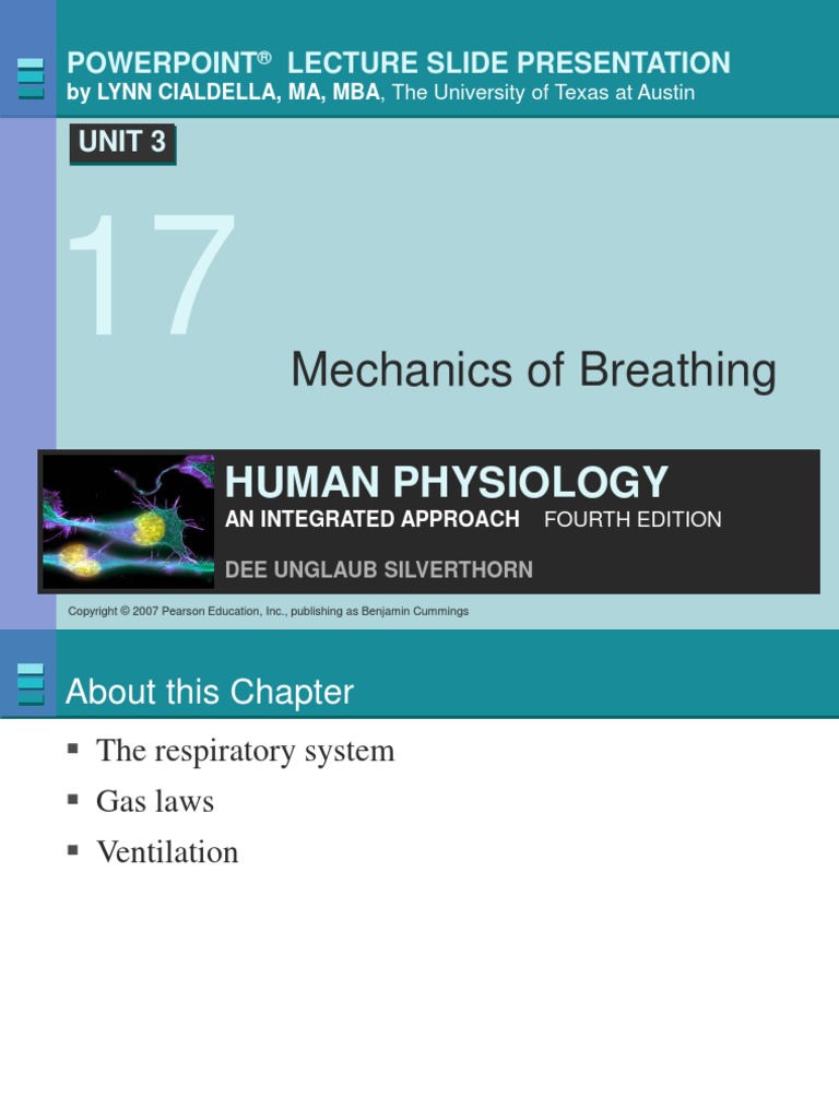 Mechanics of Breathing: Human Physiology | PDF | Breathing ...