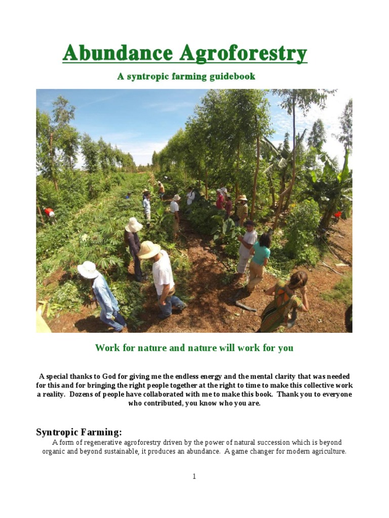 Abundance Agroforestry - A Syntropic Farming Guidebook | PDF ...