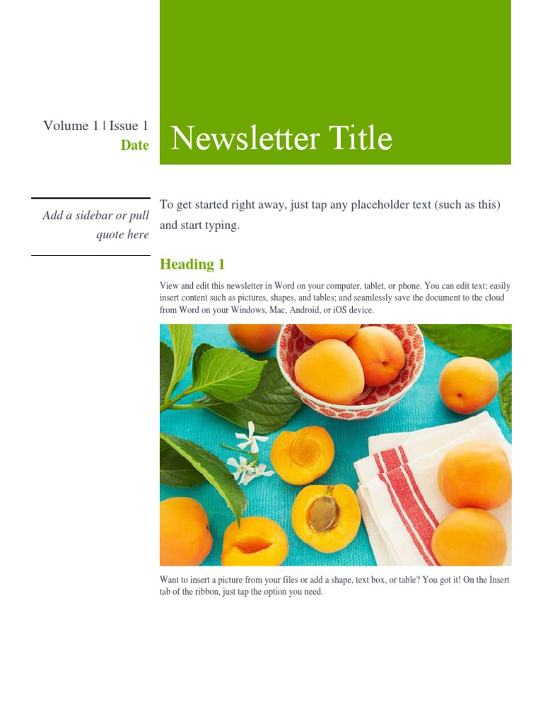 Docs - Template - Newsletter | PDF | Zip (File Format) | Computer ...
