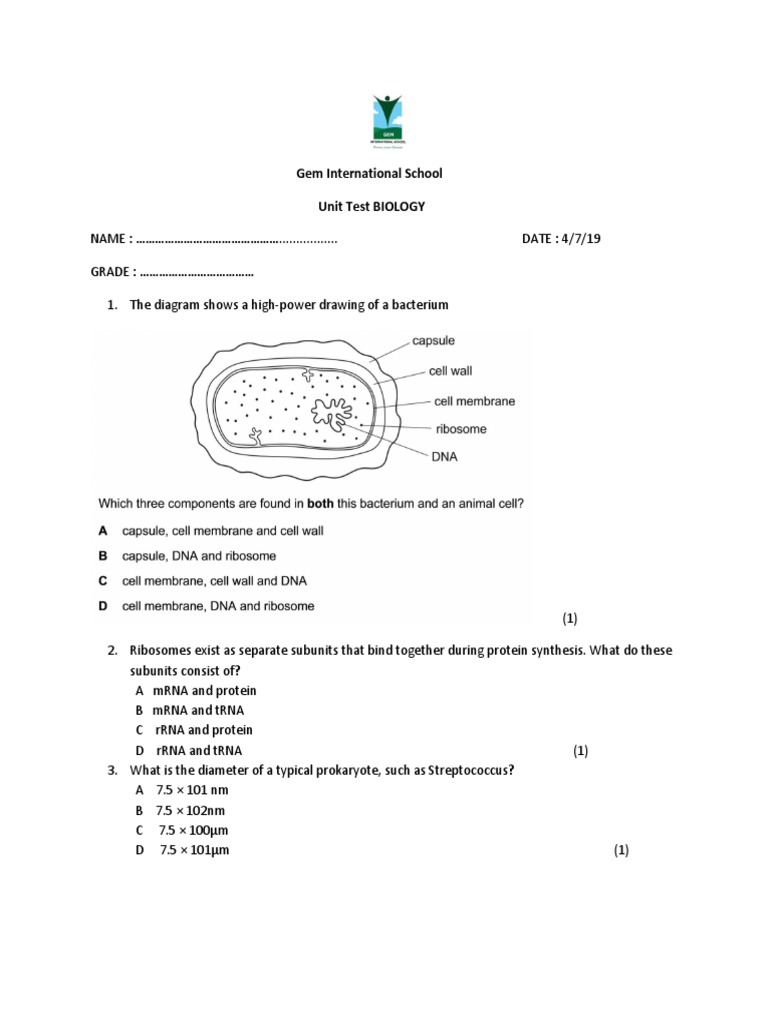 Gem International School Unit Test BIOLOGY | PDF | Ribosome ...