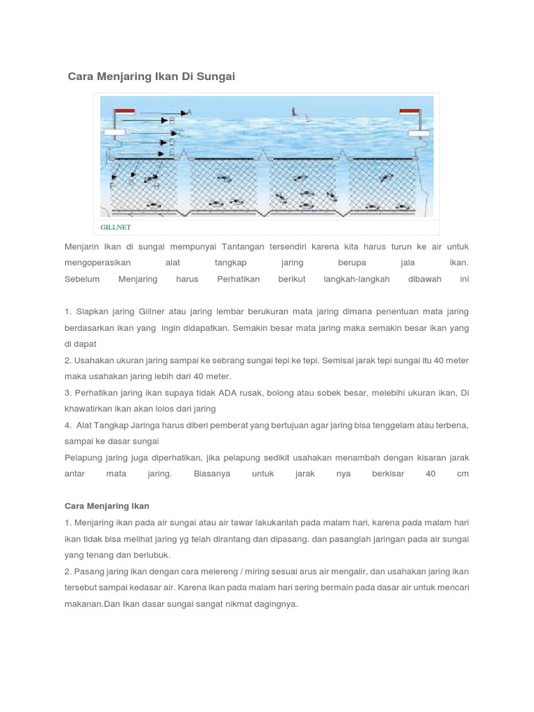 Cara Menjaring Ikan di Sungai dengan Jaring | PDF