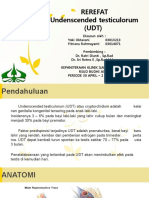 Panduan Klinis Undescended Testis | PDF