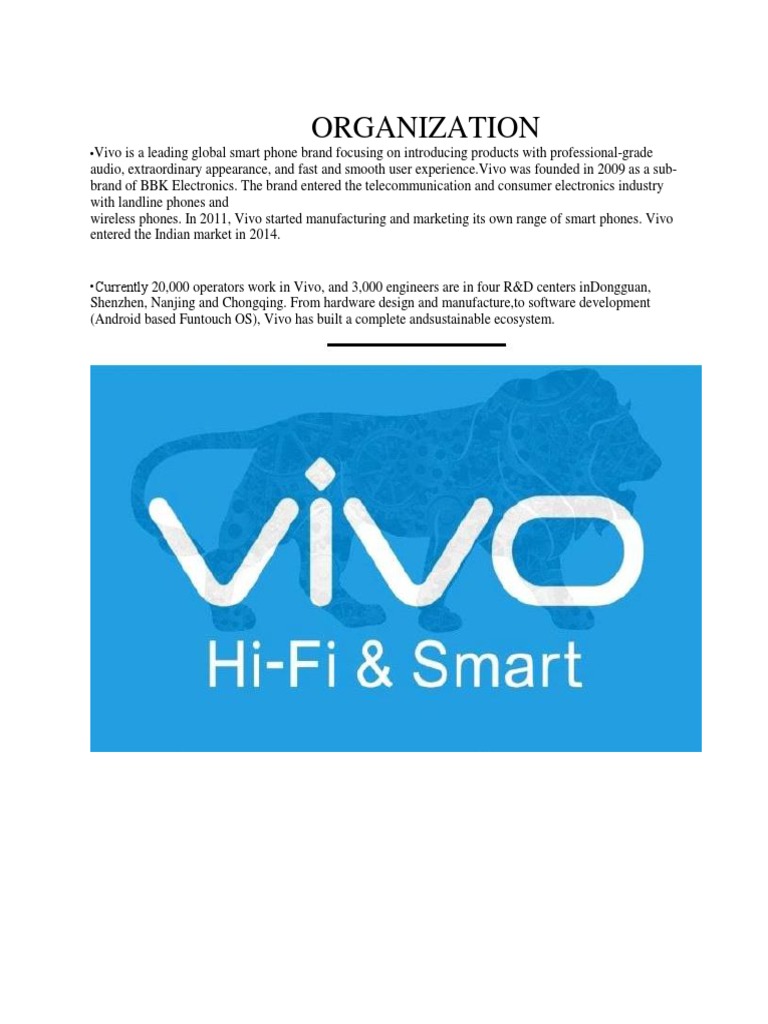 Vivo Project | PDF | Retail | Pricing